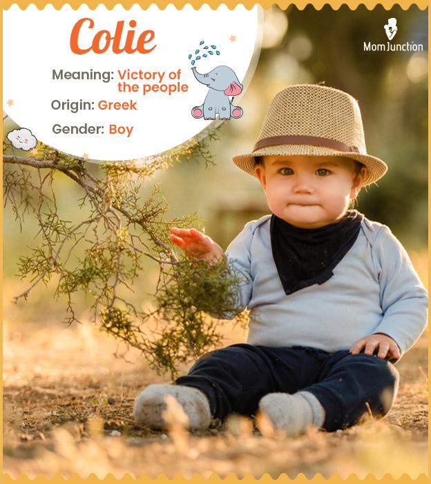 Explore Leanne: Meaning, Origin & Popularity