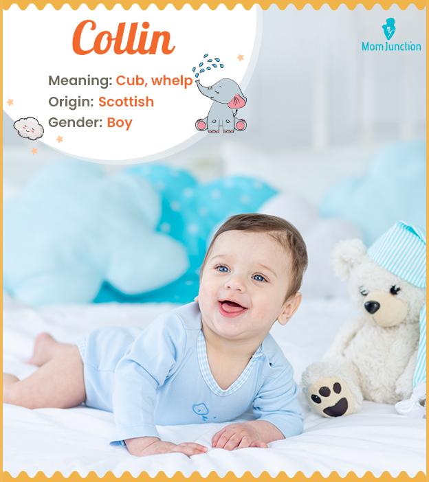 Collin Name, Meaning, Origin, History, And Popularity
