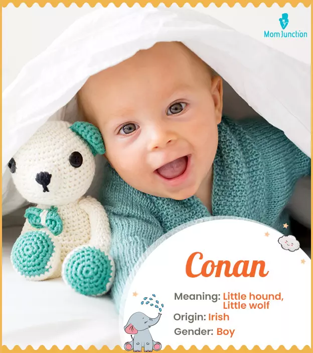 Conan Meaning, Origin, History, And Popularity