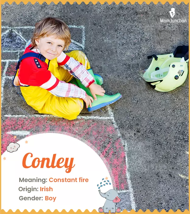Conley Name Meaning, Origin, History, And Popularity