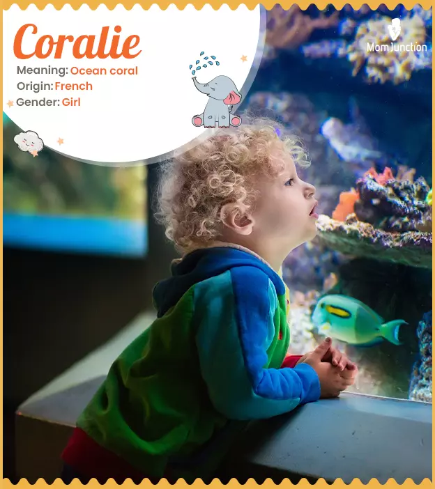 Coralie: Meaning, Origin, Popularity