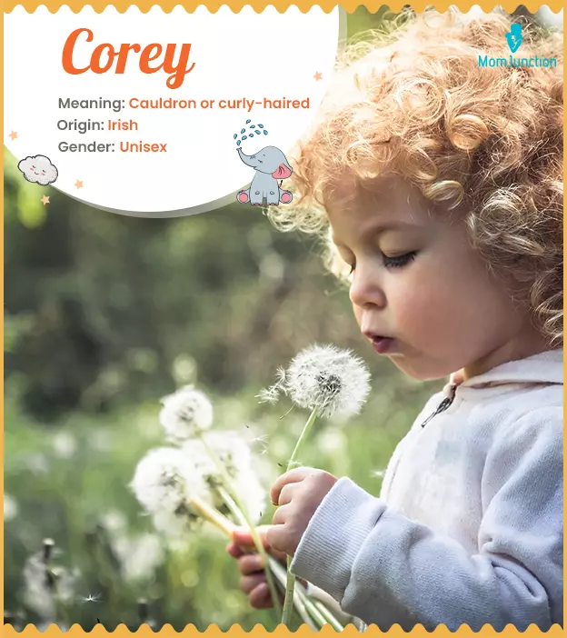 Corey Name, Meaning, Origin, History, And Popularity