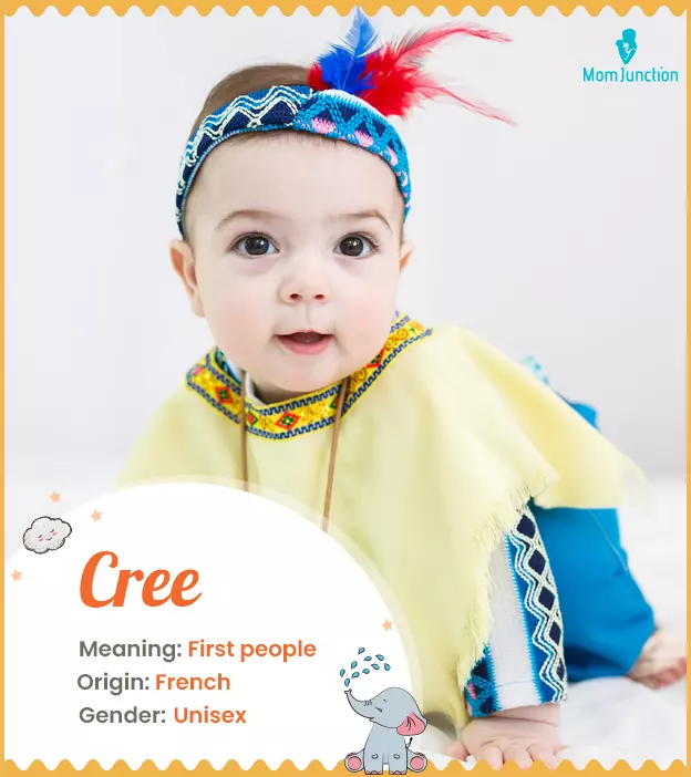 Cree: Meaning, Origin, Popularity