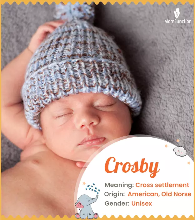 Crochet De David Crosby Derek Lam 10 Crosby Rania Cotton Crochet Inset