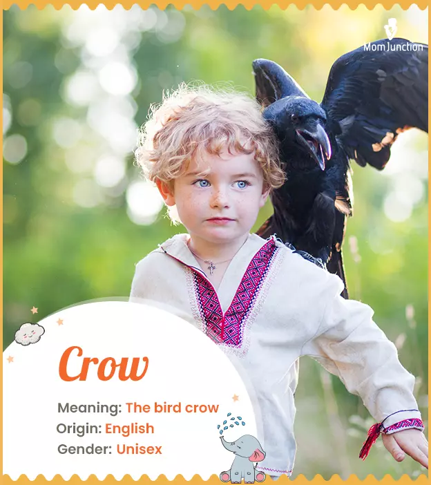 Crow: Meaning, Origin, Popularity