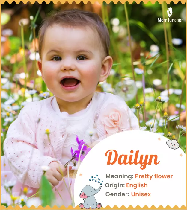 Explore Dailyn: Meaning, Origin & Popularity