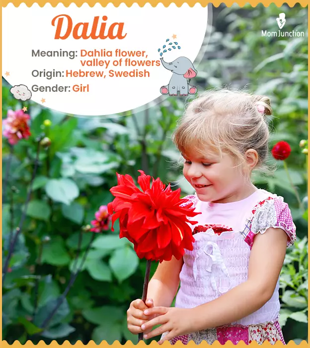 Dalia Name Meaning, Origin, History, And Popularity