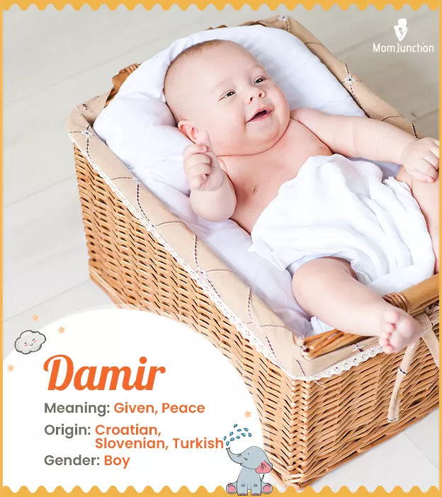 Damir Name Meaning, Origin & History: A Complete Guide