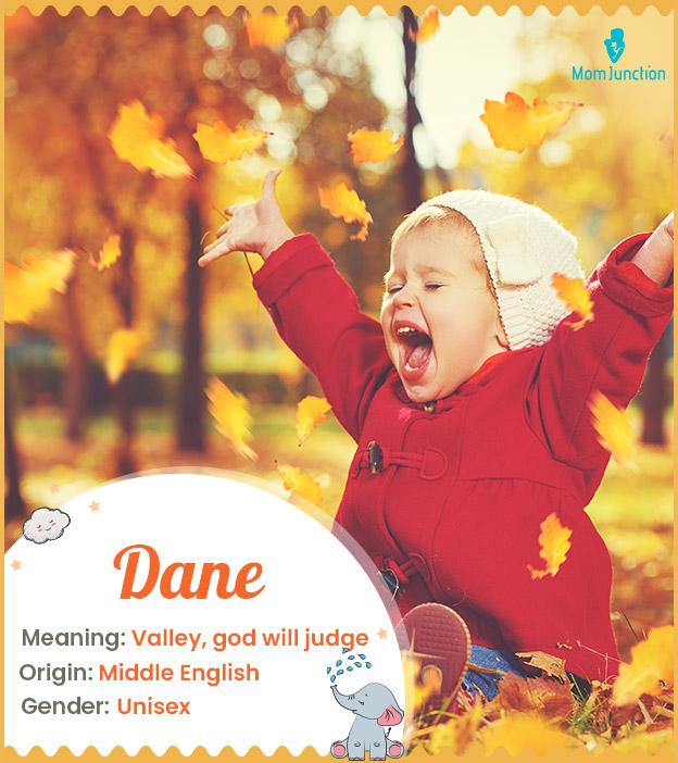 Dane Name, Origin, Meaning, History, And Popularity
