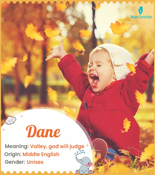 Dane Name, Origin, Meaning, History, And Popularity