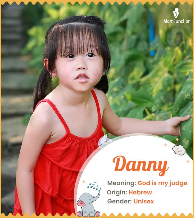 Danny Name Meaning, Origin, History, And Popularity