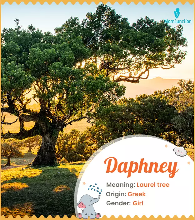 Daphney Name Meaning And Origin: Complete Guide For 2025