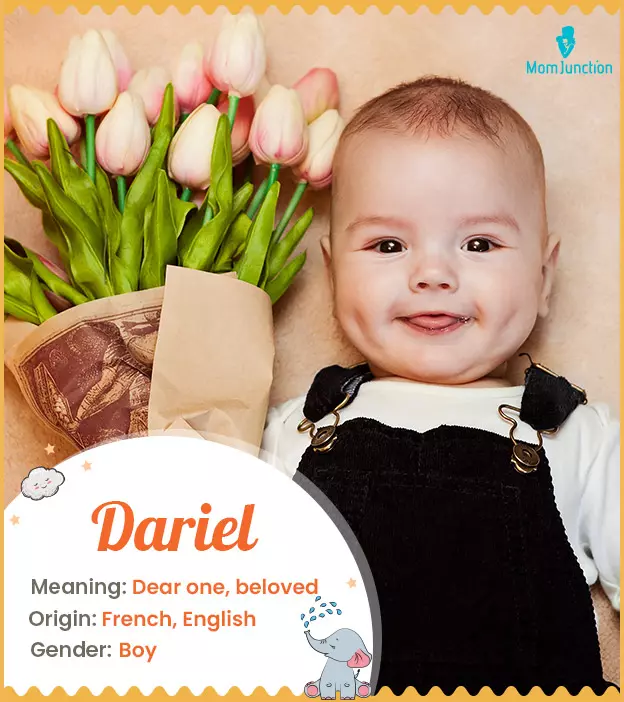 Dariel Name Meaning, Origin, History, And Popularity