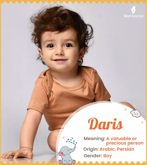 Daris Name Meaning, Origin, History, And Popularity