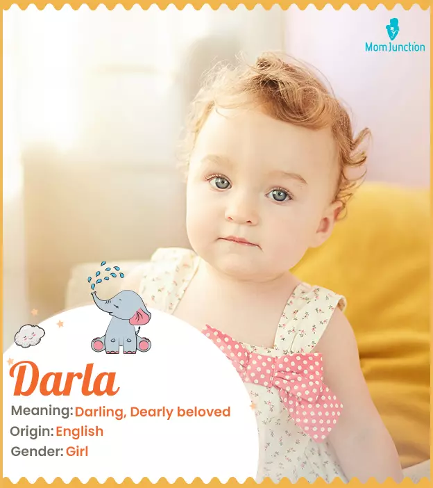 Darla: Comprehensive Guide To Meaning, History, And Popularity