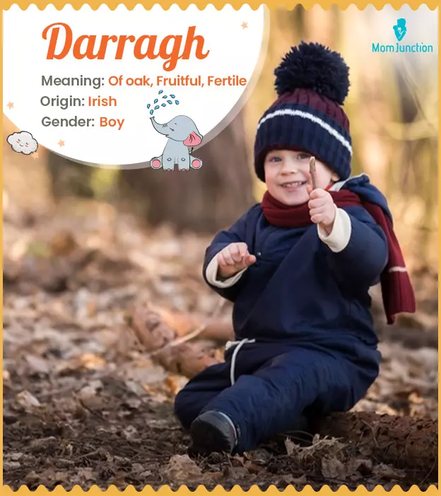 Darragh Name Meaning, Origin, History, And Popularity