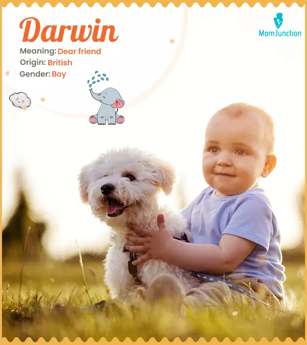 Darwin Name Meaning, Origin, History, And Popularity