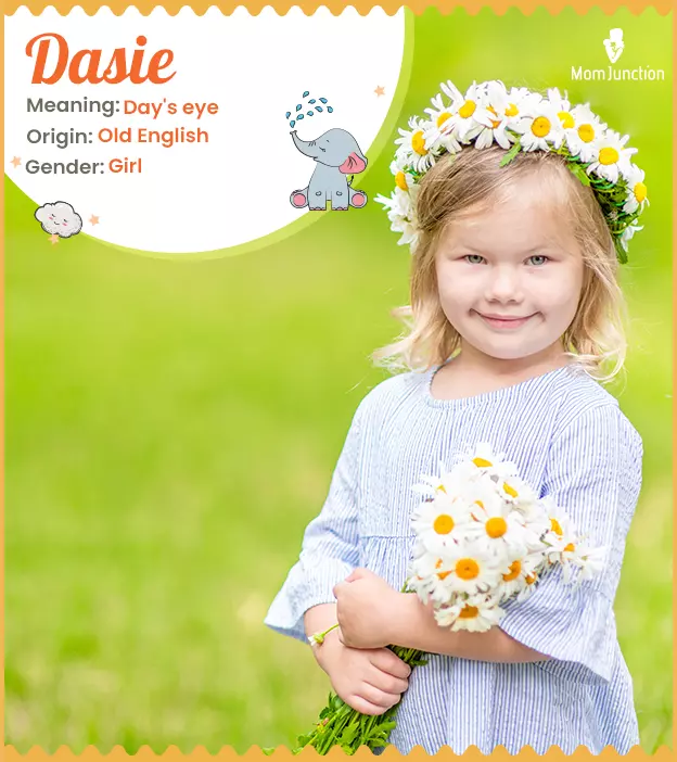 Dasie Meaning, History, Origin And Popularity