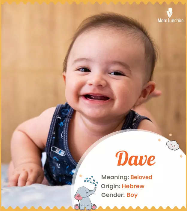 Explore Dave Name Origin And Meaning In 2025: Comprehensive Guide ...