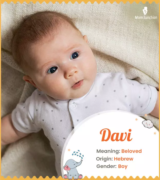 Davi Name Meaning, Origin, History, And Popularity