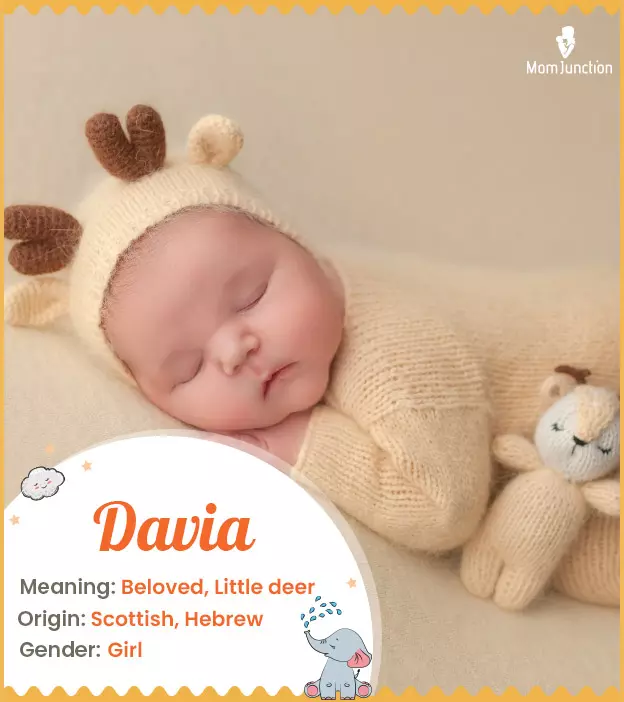 Davia Name Origin & Meaning: Everything You Need To Know