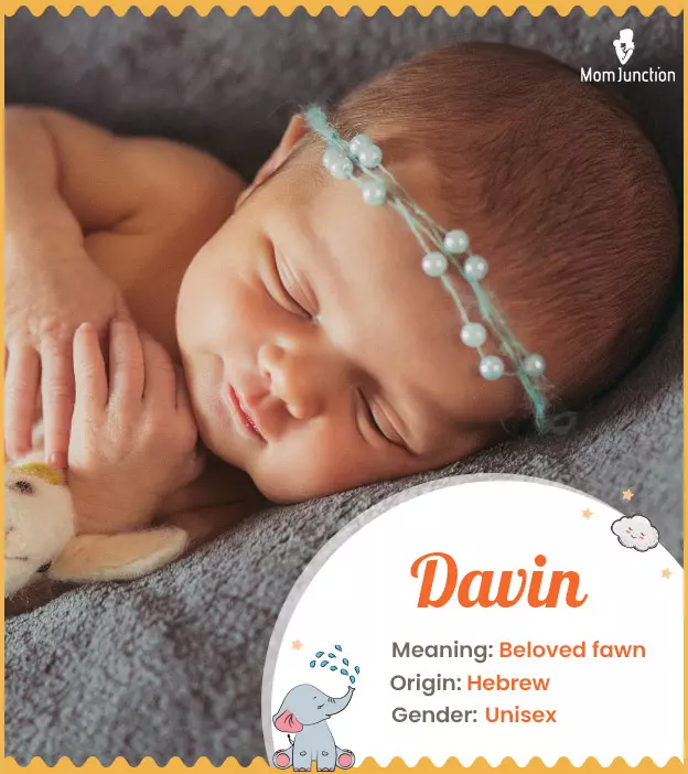 Davin Name Meaning, Origin, History, And Popularity