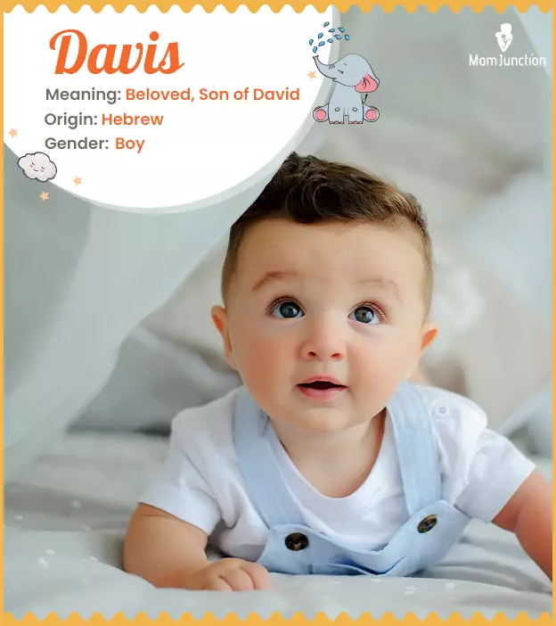 Davis Name Meaning: Ultimate Guide To Origin & Popularity