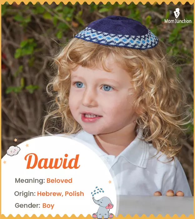Dawid Name Meaning, Origin, History, And Popularity