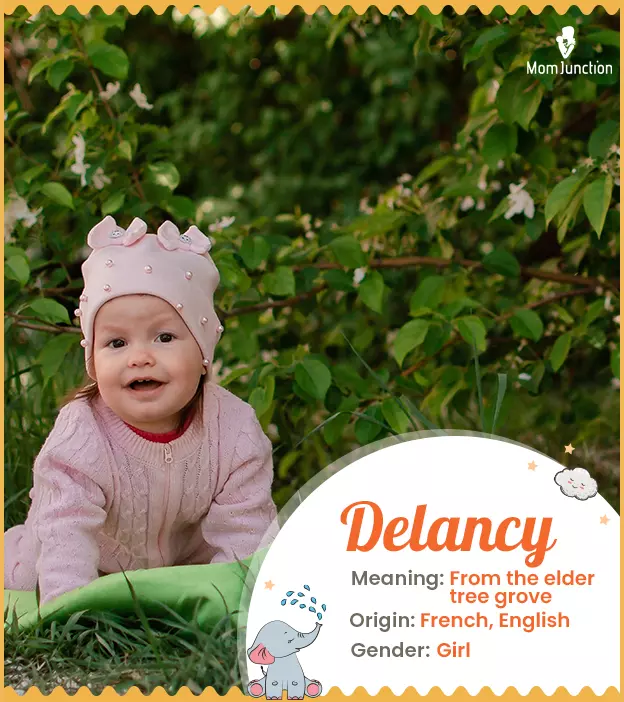 Delancy Name Meaning, Origin, History, And Popularity