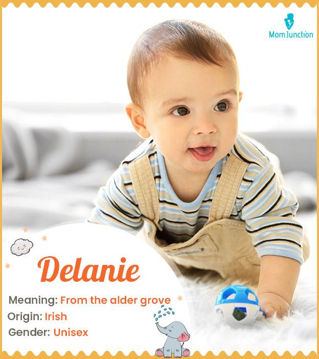 Delanie Name Meaning, Origin, History, And Popularity