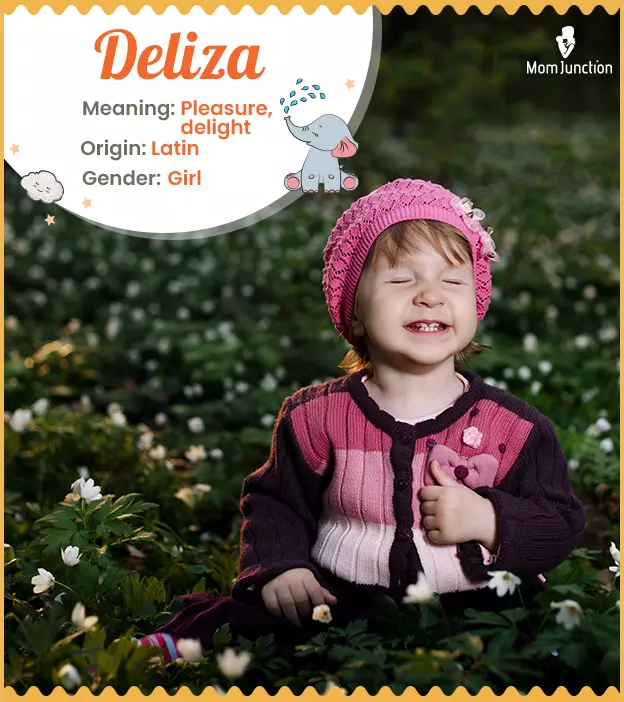 Deliza Name Meaning And History: A Complete Guide