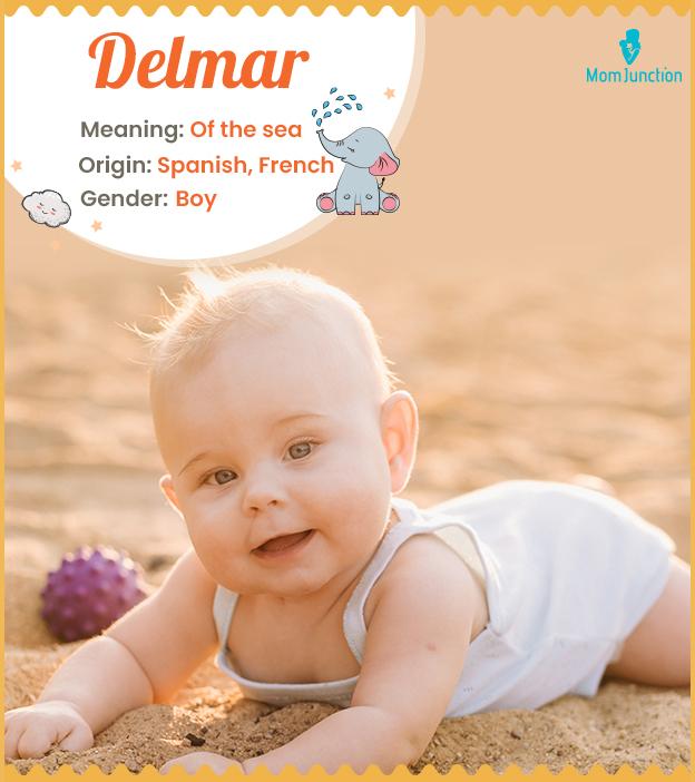 Delmar Name Meaning, Origin, History, And Popularity