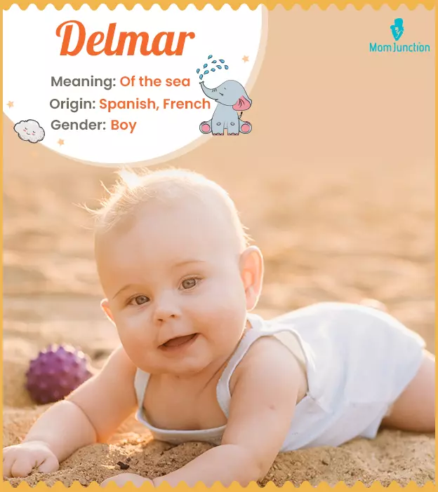 Delmar Name Meaning, Origin, History, And Popularity