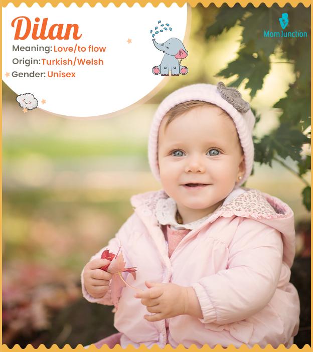 Dilan Name Meaning, Origin, History, And Popularity