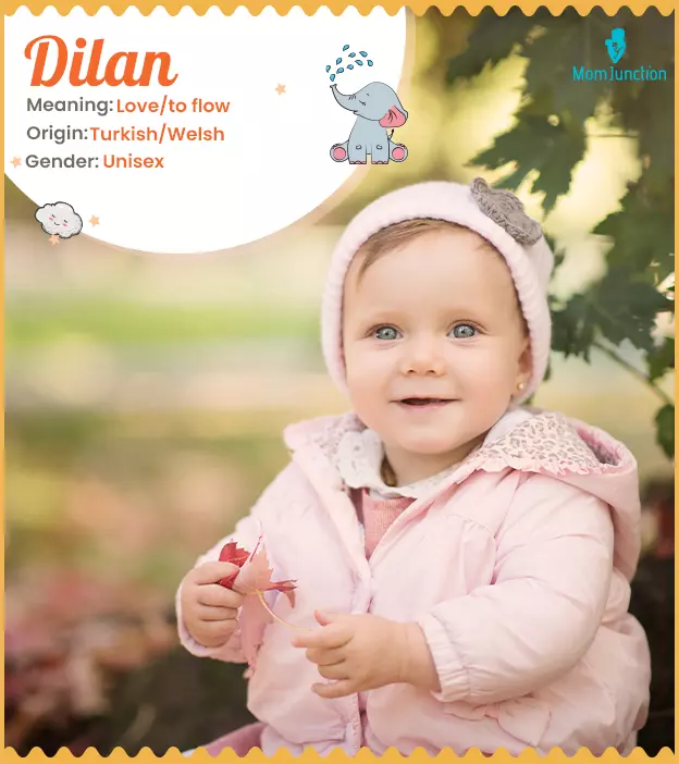 Dilan Name Meaning, Origin, History, And Popularity
