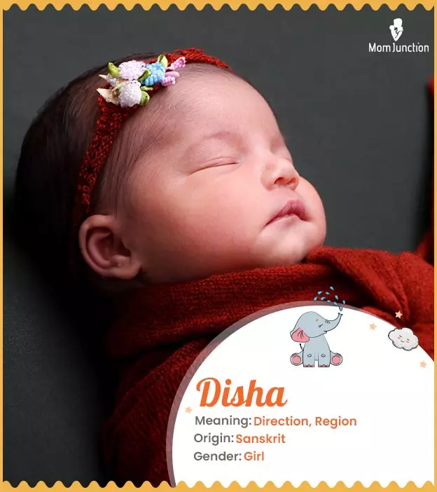 Disha Name Meaning, Origin, History, And Popularity