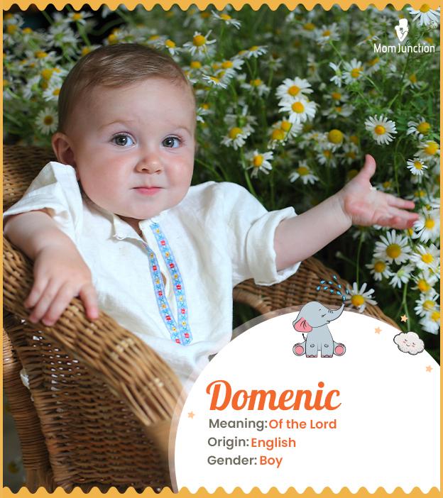 Domenic Meaning, Origin, History, And Popularity