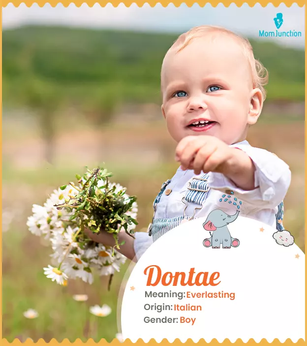 Dontae Name Meaning, Origin, History, And Popularity