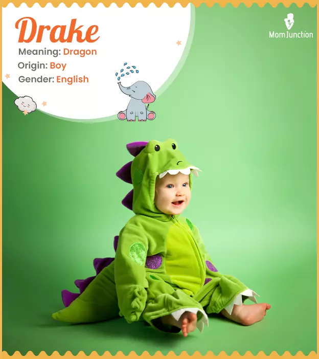 Drake Name Meaning And Origin: Key Insights For 2025