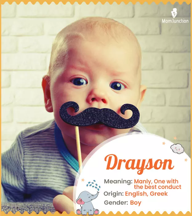 Drayson Meaning, Origin, History, And Popularity