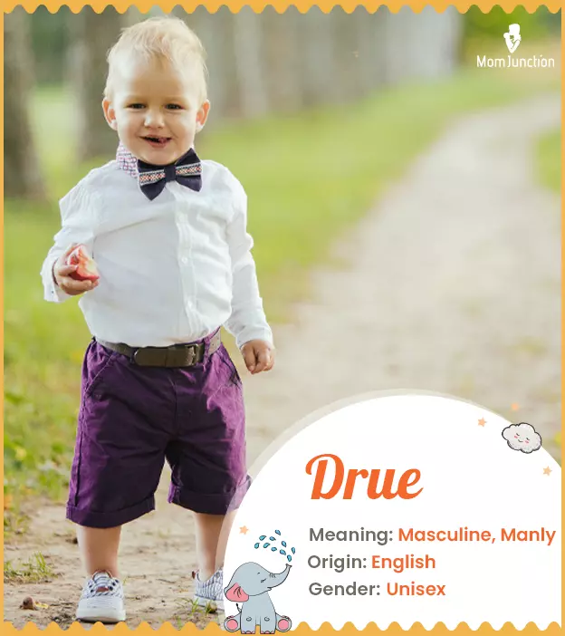 Explore Drue: Meaning, Origin & Popularity