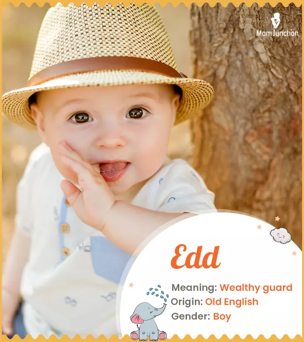 Explore Edd: Meaning, Origin & Popularity