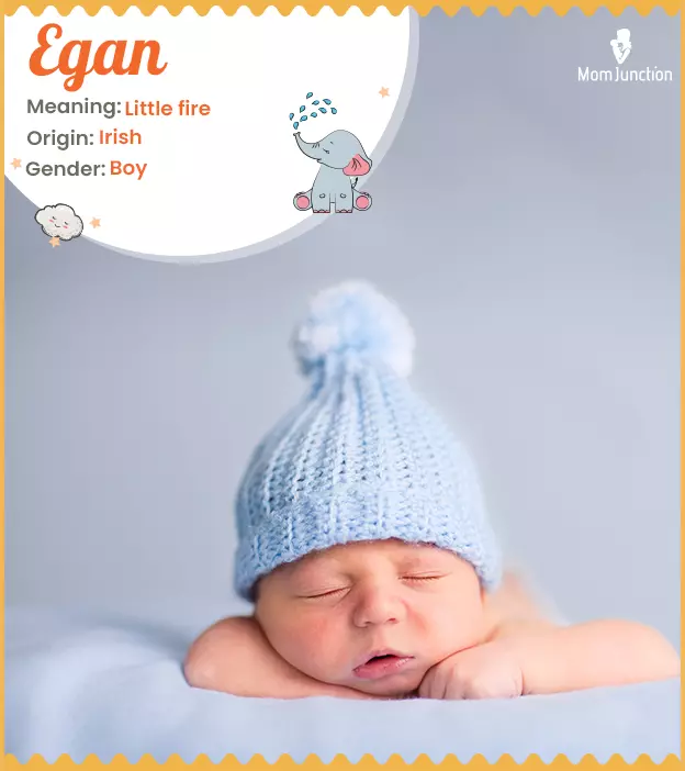 Egan Name Meaning, Origin, History, And Popularity