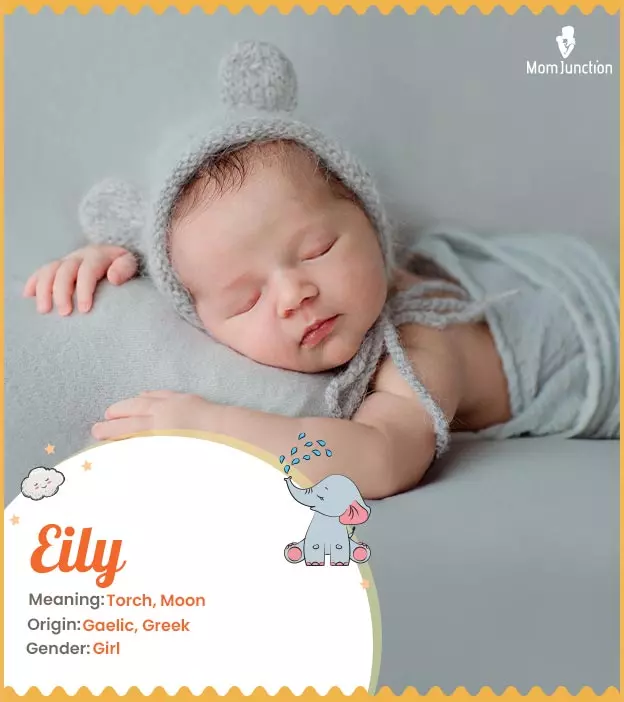 Eily Name Meaning, Origin & Pronunciation: Complete Guide