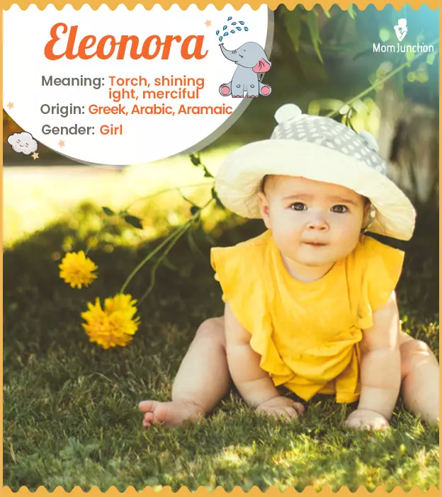 Eleonora Name, Meaning, Origin, History, And Popularity