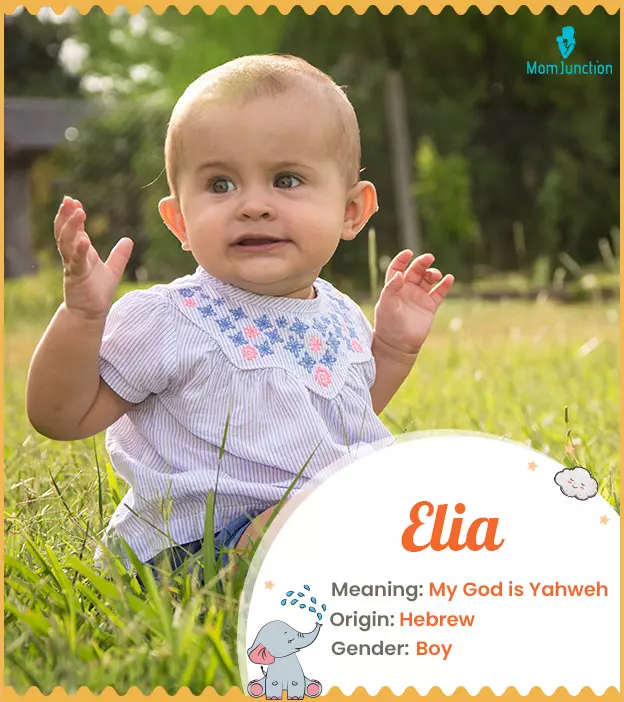 Elia Name Meaning, Origin, History, And Popularity
