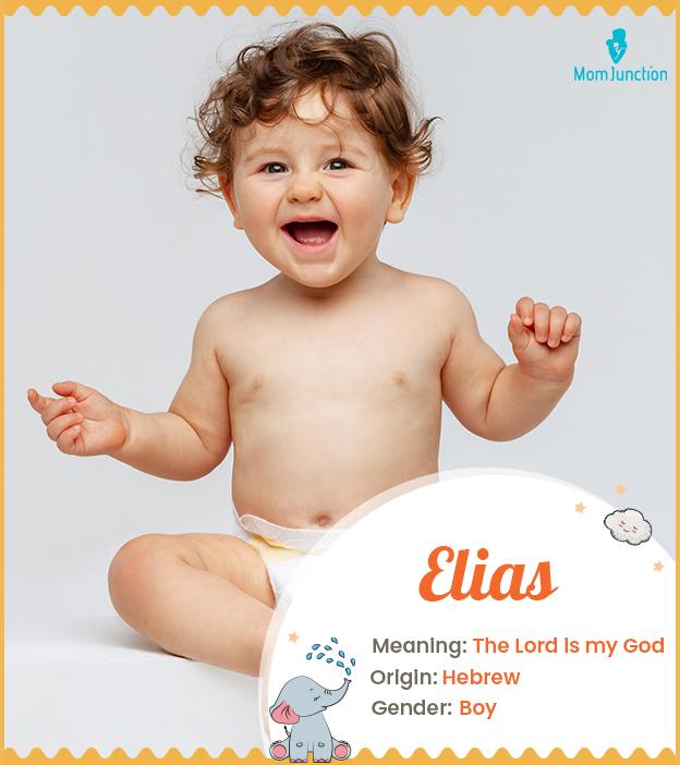 Elias Name Meaning, Origin, History, And Popularity