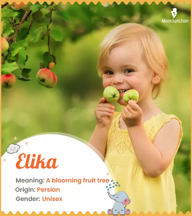 Explore Elika: Meaning, Origin & Popularity