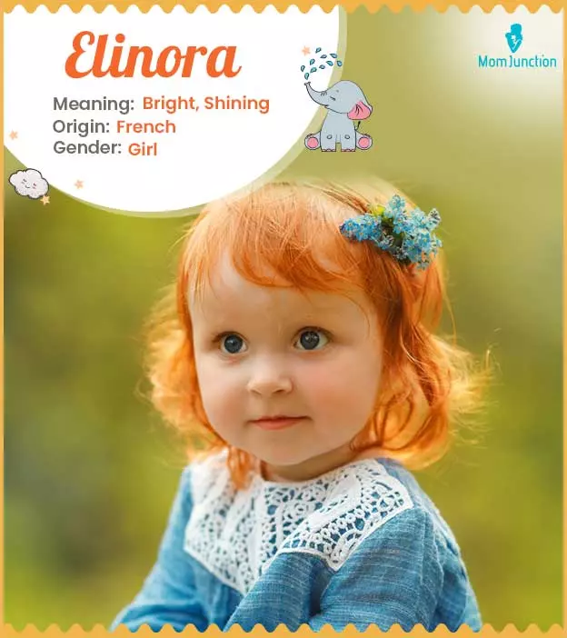 Explore Elinora Name Meaning, History & Popularity: Complete 2025 Guide ...
