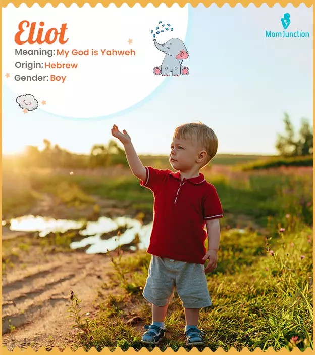 Eliot Name Meaning, Origin, History, And Popularity